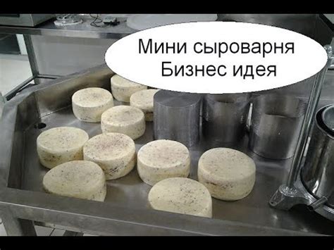 Мини сыроварня. Бизнес идея - YouTube