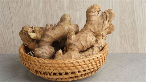 Mengenal Jenis Jenis Rimpang Atmago