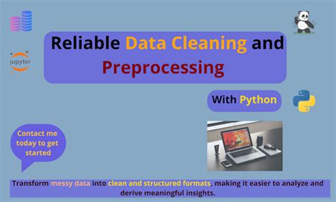 do reliable data cleaning and preprocessing with python by r anand 008 fiverr