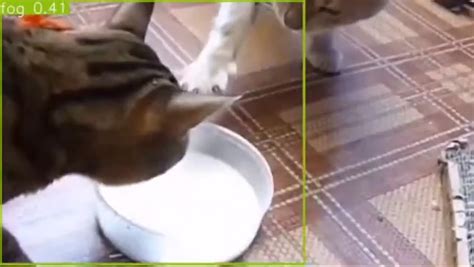 Venkata Sai Krishna On Linkedin Object Detection With Yoloaimers