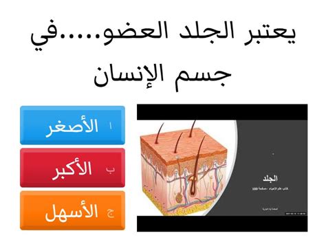 اكتشف ثالث ابتدائي الدرس الثاني اختبار تنافسي
