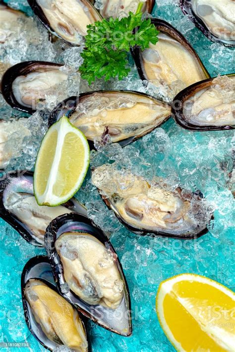바다 강 홍합의 원시 오픈 잎 얼음에 푸른 바다 얼음 레몬과 라임의 조각은 녹색 빛 상단 측면보기 주위에 주위에 둥근 슬라이스 건강에 좋지 않은 음식에 대한 스톡 사진 및