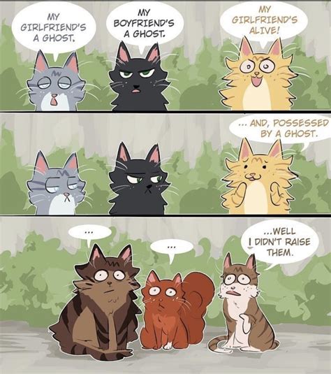 Funny Warrior Cat Memes Warrior Cats  S Tenor