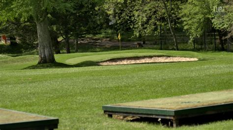 Potential Unleashed Turf Matters