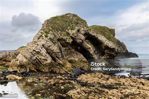 영국 북아일랜드 앤트림 카운티의 작은 아일랜드 어촌 마을 발린토이 항구 근처 앤트림 해안의 현무암 바다 아치 0명에 대한 스톡 사진 및 기타 이미지 Istock