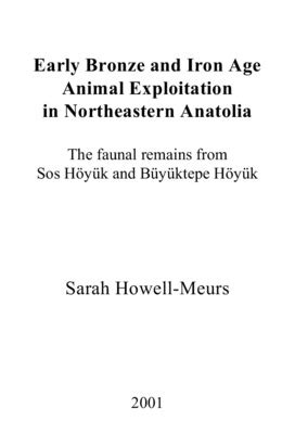 Archive Of Mesopotamian Archaeological Reports Amar Cultural Heritage Collections And