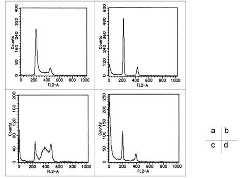 The Cell Cycle Distribution Under The Same Conditions Of Investigation Download Scientific
