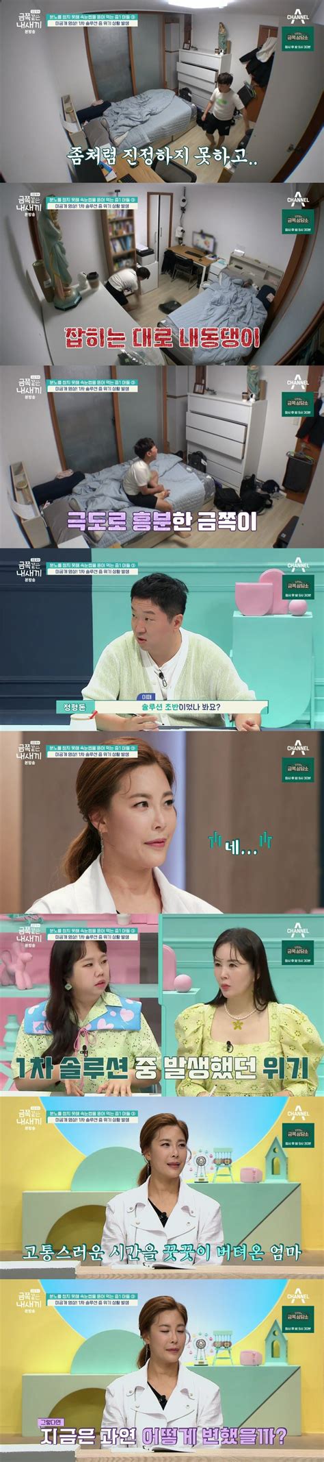 ㅅㅇ 엄마 패버려서 커뮤에서 엄청 화제였던 금쪽이 마지막 근황 ㄷㄷㄷ  포텐 터짐 최신순 에펨코리아