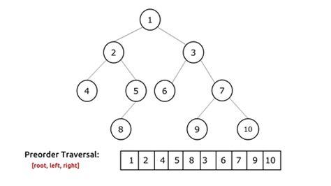 data structures exam 1 flashcards quizlet