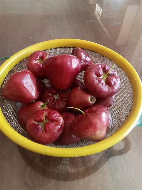 Red Macopa R Itookapictureph