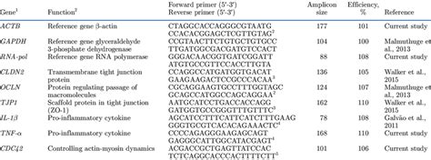 primer pair sequences of genes analyzed in proximal jejunum and ileum