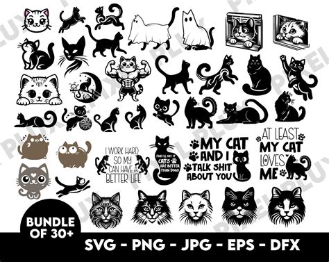 Sniff Catnip Hail Kitten Svg Dxf Eps Png Digital Download Artofit