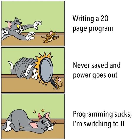 Ranav Technologies On Linkedin Programminglife Developerstruggles