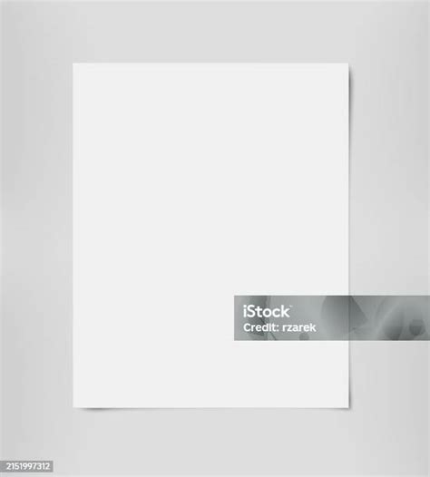 투명한 배경에 그림자가 있는 벡터 사실적인 종이 카드입니다 종이에 대한 스톡 벡터 아트 및 기타 이미지 종이 둥글게 말려진 전단지 Istock