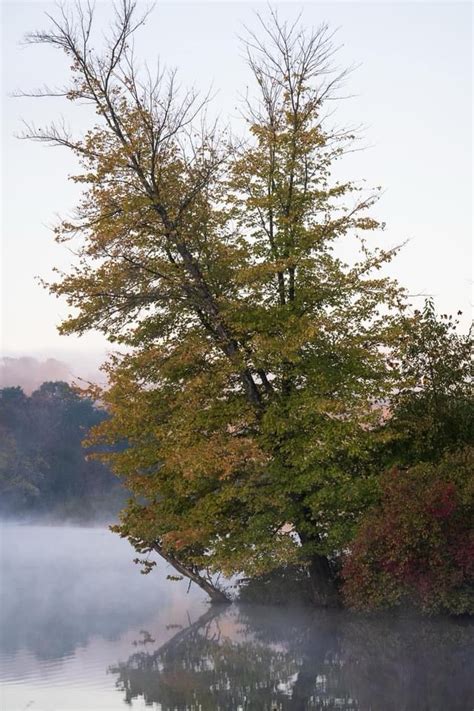 Morning Fog Album On Imgur