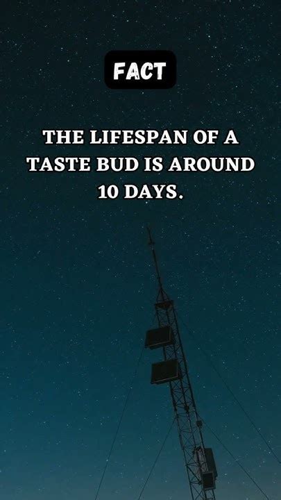 technology fact 📱💻🤖 techtidbits innovationinsights digitaldiscoveries youtube