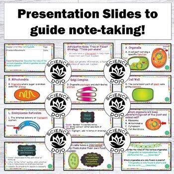 Cell Structure And Function Digital Unit Bundle Biology Life Science