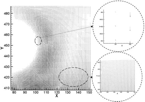 Velocity Vector Around The Tube Download Scientific Diagram