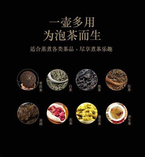 耐高溫泡茶壺 雙內膽蒸煮玻璃茶壺 玻璃煮茶壺 加厚高硼硅玻璃壺 圍爐煮茶壺 日式茶壶 花茶壺 燒水壺 提梁壺 玻璃茶壺 蝦皮購物