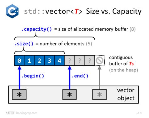 Vector Size At Collection Of Vector Size Free For