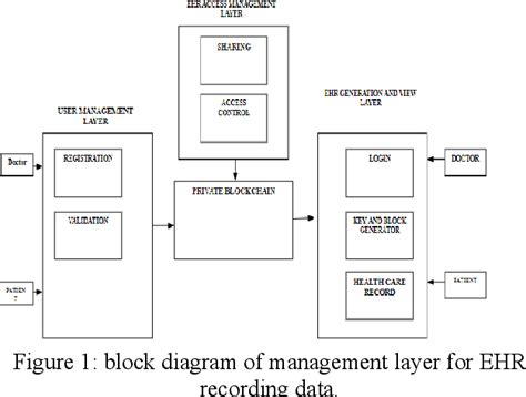 Figure 1 From Design Of A Blockchain Based Internet Of Healthcare
