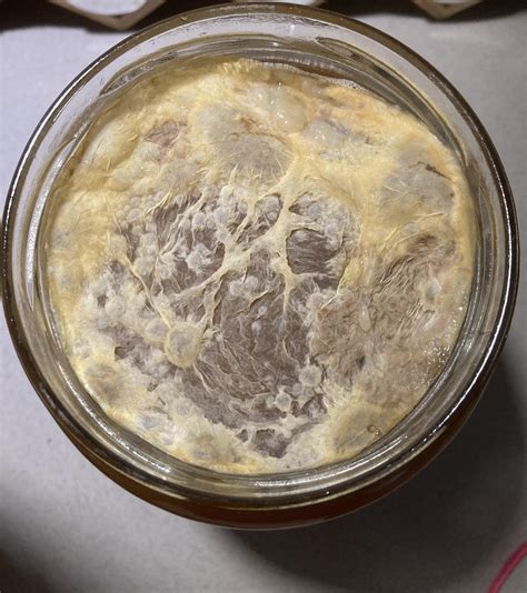 Beginner Brewer Working On Second Ever Batch Gotta Know Is It Mold