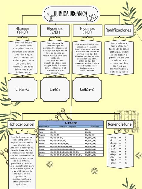 Mapa Conceptual Quimica Organica Pdf Hidrocarburos Compuestos