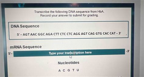 Solved Transcribe The Following Dna Sequence From Hba