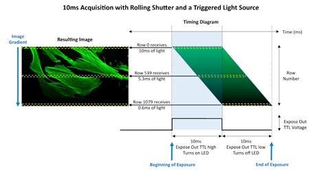 CCD Vs CMOS Sensors An In Depth Comparison Quarktwin Electronic Parts