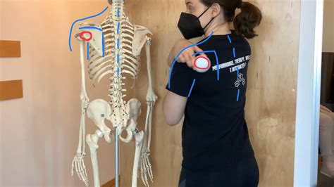 Infraspinatus Lacrosse Ball Release At Emma Ake Blog