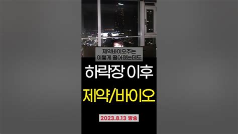 하락장이후 제약바이오 리튬 에코프로 2차전지 로봇주 Ai Chatgpt 초전도체 화장품주 에코프로비엠 포스코인터내셔널 포스코퓨처엠 포스코엠텍 비트코인 이더리움 리플