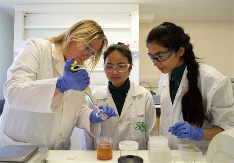 Bachelor Degree In Food Science Curricula Of Bachelor And Master