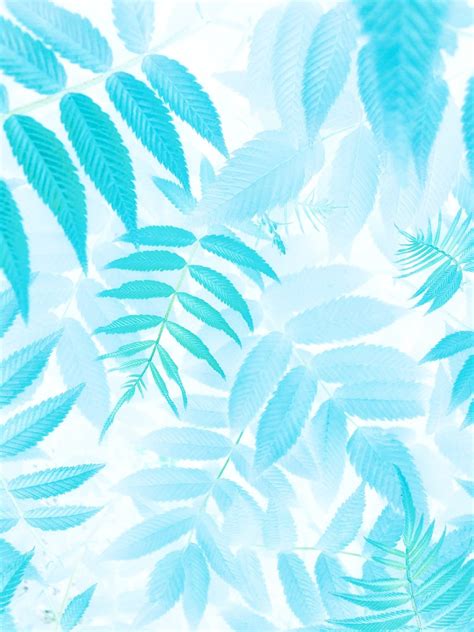 Python Image Processing Functions By Btd Medium