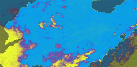 Empowering Early Forest Fire Detection The Symbiosis Of Video Analysis And Satellite Remote Sensing