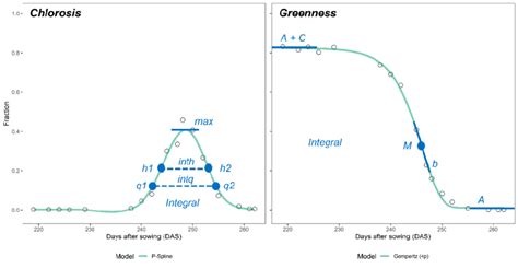 Dynamics Parameters Extracted For The Modelled Temporal Trends In Download Scientific Diagram
