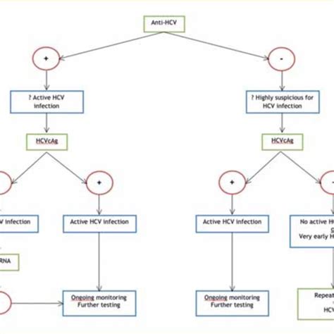 Proposed Algorithm For Hcv Testing Download Scientific Diagram