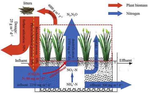 A Comprehensive Review On Ecological Buffer Zone For Pollutants Removal