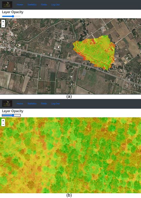The Myogc Gui Interactive Map Where A The Orthomosaic Is Depicted As