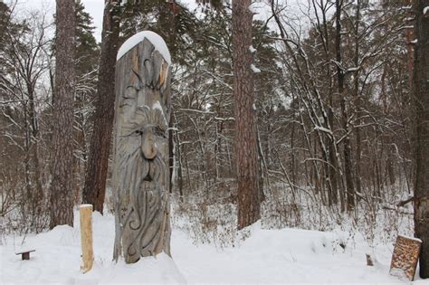 Идол Пикабу