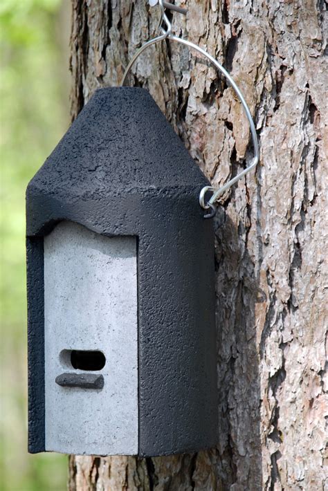 Bat Boxes 2f« 2f With Double Front Panel 00135 1