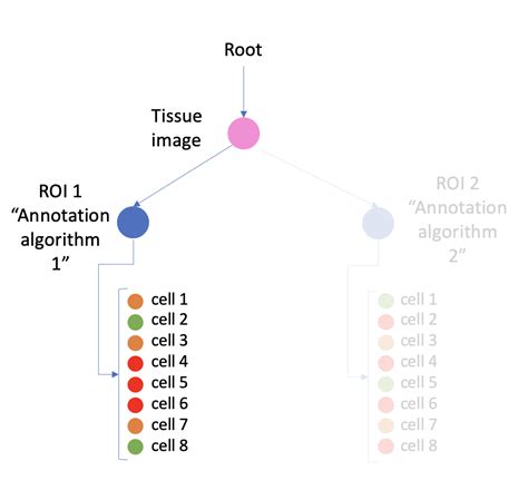 Show Hide Annotations Belonging To Certain Parts Of Hierarchy In Qupath Usage And Issues Image