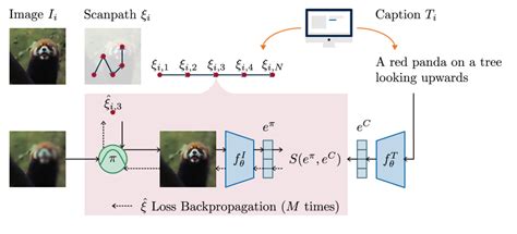 Caption Driven Explorations Aligning Image And Text Embeddings Through Human Inspired Foveated