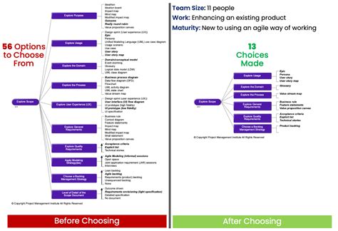 Is There A Simplified Version Of Disciplined Agile Process Mentors