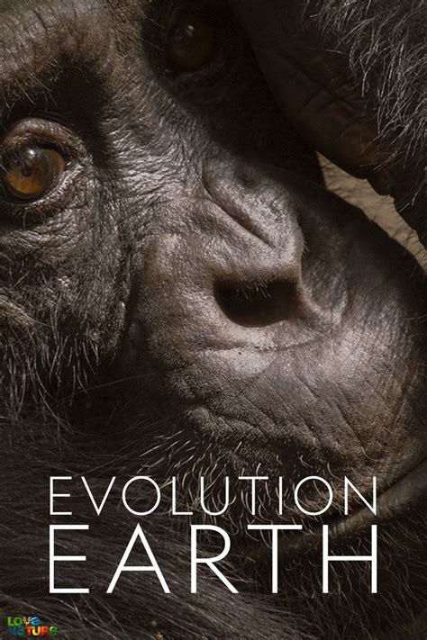 Regarder Evolution Earth En Streaming En Ligne Hd TÉlÉsat