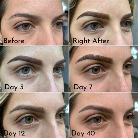Microblading Before And After Photos And Reviews