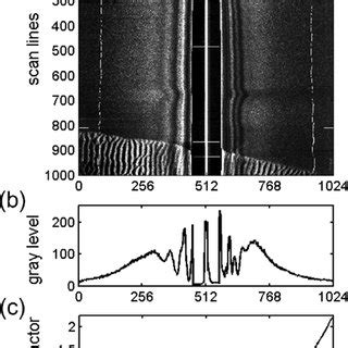 Diagram Showing The Assumed SSS Geometry Download Scientific Diagram
