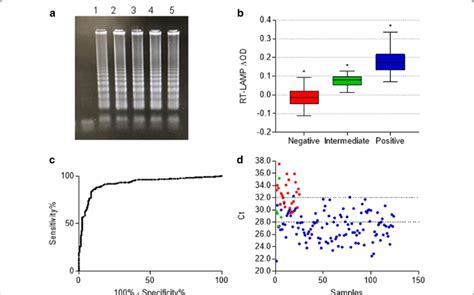 Rt Lamp Validation Results A Electrophoresis Of Rt Lamp Products