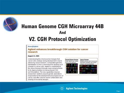 PPT Human Genome CGH Microarray 44B And V2 CGH Protocol Optimization PowerPoint Presentation