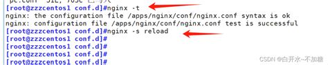 Nginx 变量 日志分割 自定义图标 证书 （四） Csdn博客