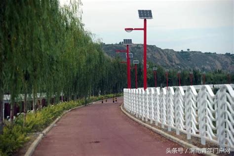 大荔已建成10公里黃河濕地 水上自行車道組圖 每日頭條